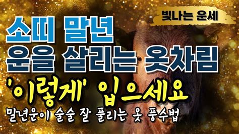 소띠운세 말년운세👚옷풍수 소띠는 옷 입을 때 이것 신경써야 큰 복 들어옵니다👖나와 기운이 맞는 옷 말년운 말년운이 좋은 사주 소띠 운세 소띠금전운 노년의 삶 노년의지혜