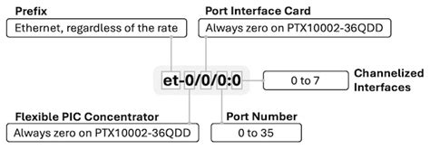 Introducing Ptx10002 36qdd