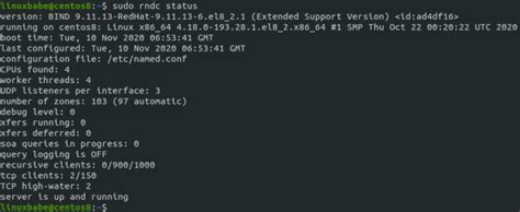 Set Up Bind Authoritative Dns Server On Centos 8 Rhel 8