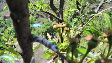 Rajeev Jha On Linkedin Business Growth Share Products Nutrition