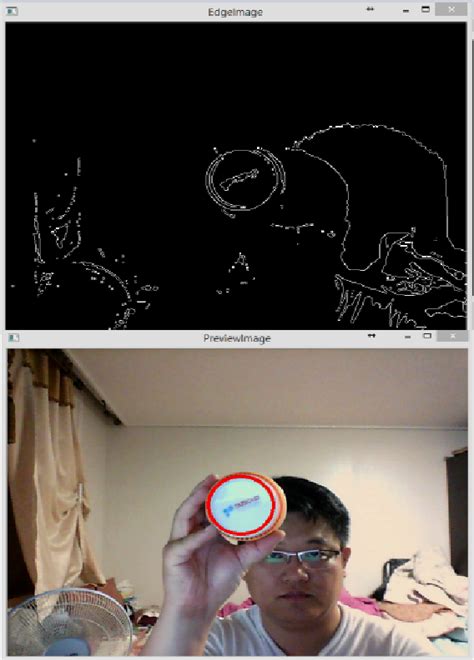 Figure 1 From The Motion Estimation Algorithm Implemented By The Color