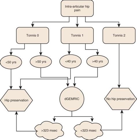 Hip Diagnosis And Decision Making Clinical Tree
