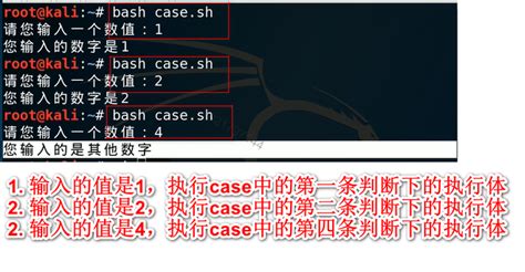 kali与编程：shell编程之case语句 知乎