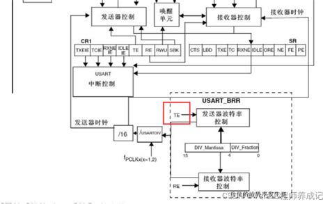 Stm32学习笔记 Usart串口外设（理论部分）stm32 Usb转串口 Csdn博客