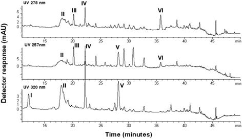 Figure 1 From Hplc Esi Ms And Gc Ei Ms Identification And Quantitation Of Polyphenolics And