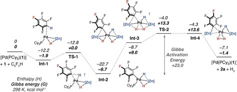 Dft‐calculated Reaction Pathway For Catalytic C−h Zincation Download