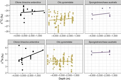 linear relationships between δ¹³c upper plots and δ¹⁵n lower plots