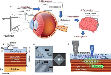 International Research Team Develops New Hardware For Neuromorphic Computing Lifeboat News