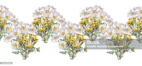 이음새가 없는 테두리 수채화 국화 데이지 카모마일 탠시가 흰색 배경에 분리되어 있다 꽃집을 위해 손으로 그린 여름 꽃 꽃 축하 결혼식 포장 섬유 또는 벽지를위한 테두리 0