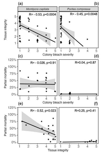 Coral Histology Reveals Consistent Declines In Tissue Integrity During A Marine Heatwave Despite