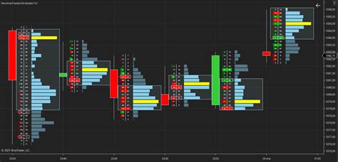 Ninjatrader Footprint Orderflow Indicator