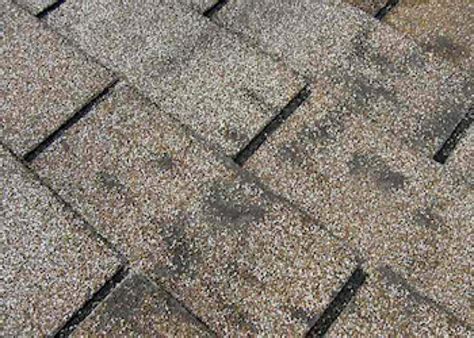 Follow These Tips Before Inspecting Your Roof Shingles For Damage