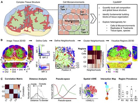 workflow and features of cytomap download scientific diagram