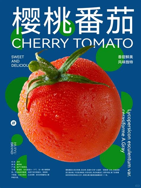 平面设计 版式视觉海报设计 花瓣网