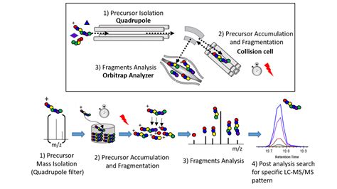 prm based post translational modification site analysis service mtoz