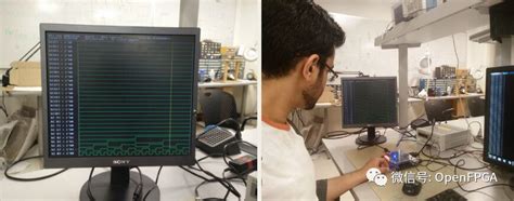 Exploring FPGA Projects By International University Babes Boardor