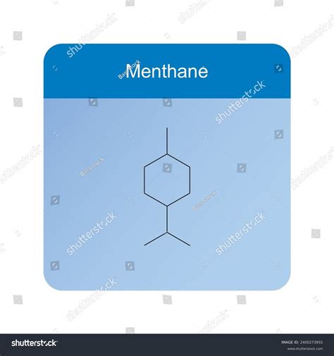 Menthane Skeletal Structure Diagrammonoterpene Ketone Compound Stock Vector Royalty Free