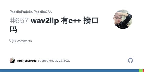 wav lip 有c 接口吗 Issue PaddlePaddle PaddleGAN GitHub