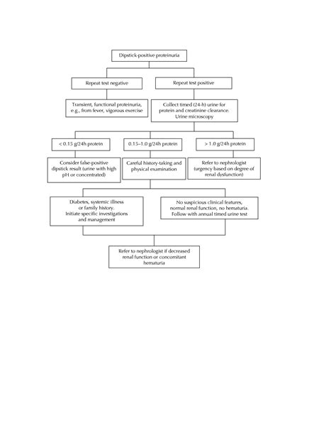Nephrology 2 Evaluation Of Asymptomatic Hematuria And Proteinuria In