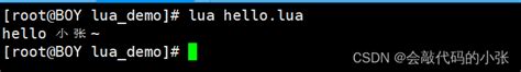 lua【通俗易懂】 csdn博客