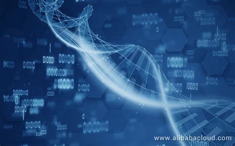How To Work With BLOB In MySQL Database Hosted On Alibaba Cloud Alibaba Cloud Community