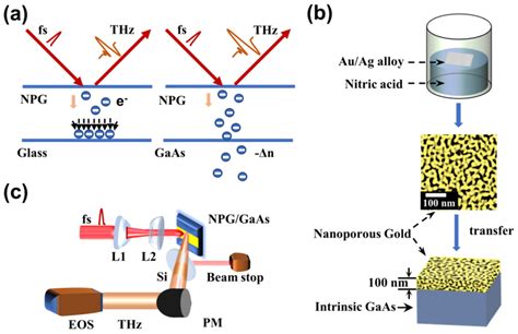 The Schematic Diagram Of Enhanced Terahertz Radiation And Setups In Our Download Scientific