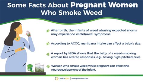 When To Stop Smoking Weed While Pregnant Better Late Than Never Choicepoint