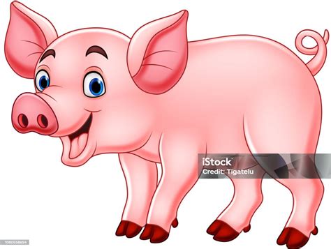 Söta Gris Tecknad Vektorgrafik Och Fler Bilder På Blyg Blyg Boskap