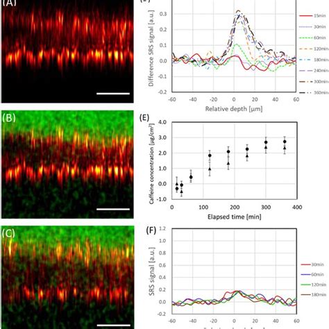 A Confocal Raman Spectra And B Pm‐srs Spectra Of Untreated Skin