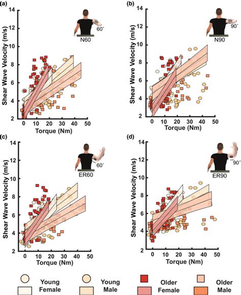 Age And Sex Influence The Activation‐dependent Stiffness Of The