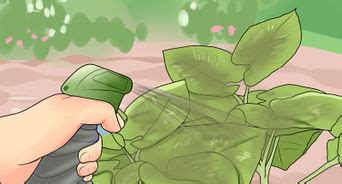 6 Ways To Compost WikiHow 6 Ways To Compost WikiHow
