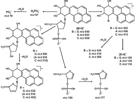 Scheme 3 Negative Esi Msms Cid Fragmentation Pathway For B A Pde Base