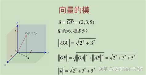 Python线性代数学习笔记规范化和单位向量以及Python实现向量规范化 知乎