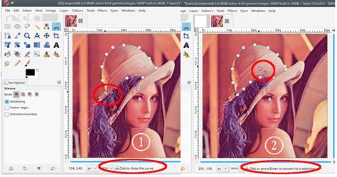 Scissors Tool Deleting Entire Background 2019 — Help And Support