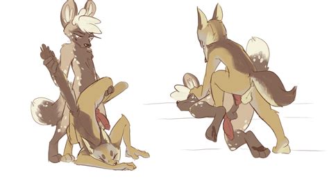 Rule 34 2020 African Wild Dog Anal Anal Sex Animal Genitalia Animal