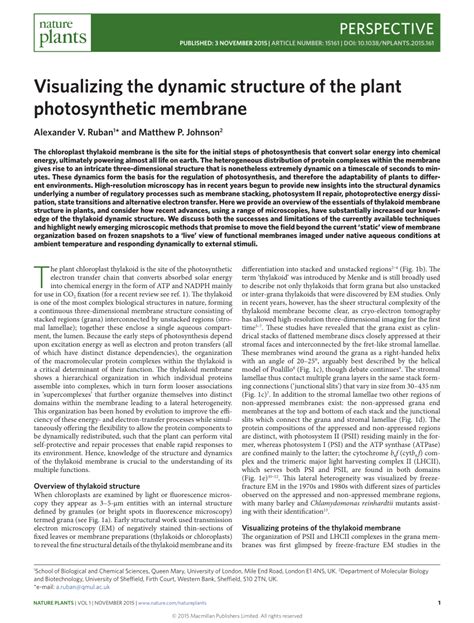 Pdf Visualizing The Dynamic Structure Of The Plant Photosynthetic