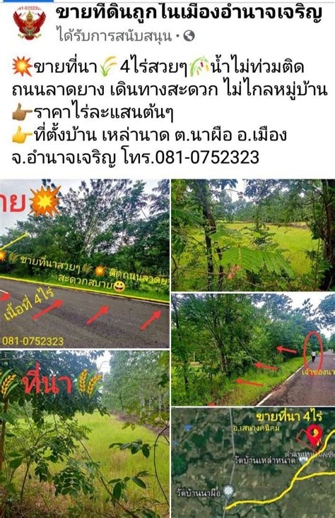 ขายที่นาติดถนนลาดยาง เดินทางสะดวก ไม่ไกลชุมชน ที่ดินร้อยแปด คอม