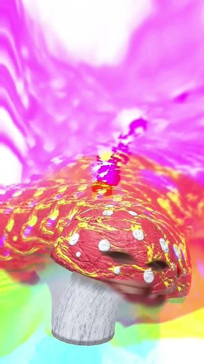 я грибочек Youtube