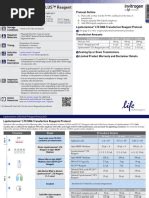 Lipofectamine3000 Protocol Pdf Transfection Molecular Biology