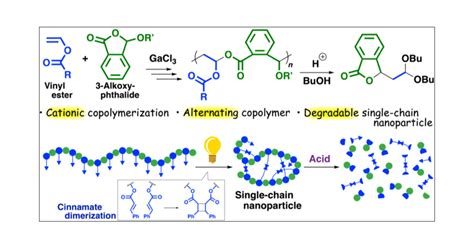 Cationic Alternating Copolymerization Of Vinyl Esters And 3 Alkoxyphthalides Side Chain