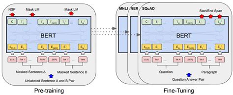 Bidirectional Encoder Representations From Transformers Bert Language