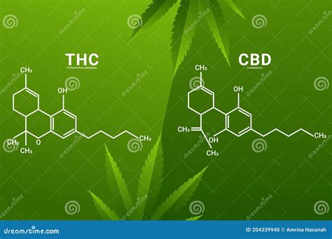 Cannabidiol And Tetrahydrocannabinol Molecule Structure Compound Stock Vector Illustration Of