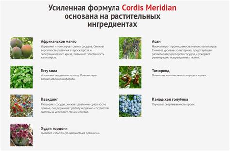 «КОРДИС МЕРИДИАН» – реальные отзывы, купить в аптеке, цена, развод