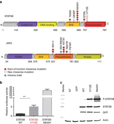 Recurrent Alterations Targeting The Jakstat Pathway In Eatl Ii A