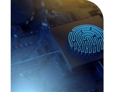 Cybersecurity Toolkit Optimal Networks