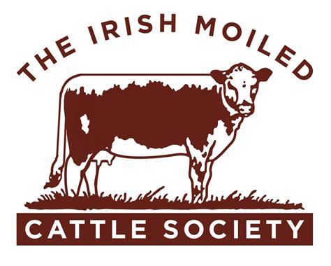 2021 Classification Round Up Irish Moiled Cattle Society