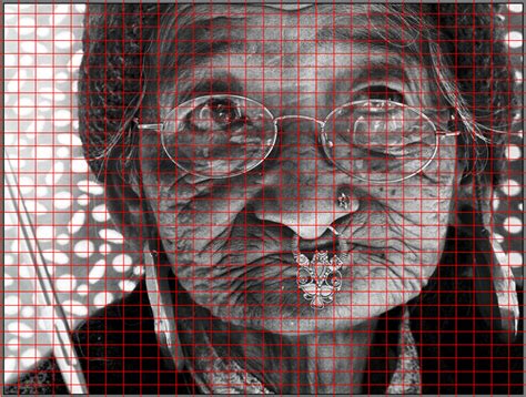 Jquery Gridimageanimations Demos