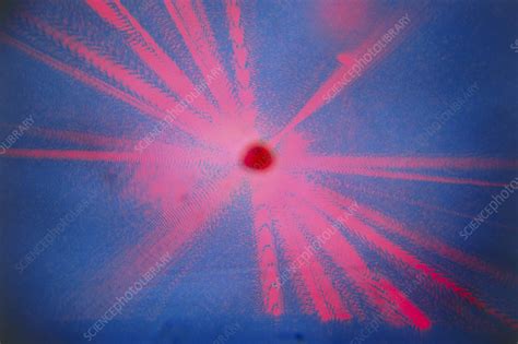 Diffraction Patterns From A Helium Neon Laser Stock Image T Science Photo Library