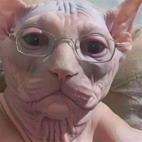 𝓂𝒶𝓇𝓁𝑜𝓃𝓃 𓃵 Youtube